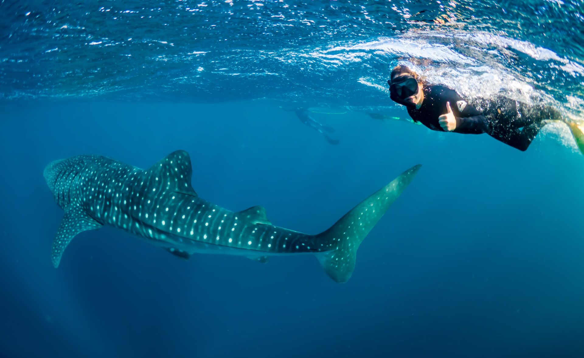 Homepage - Taith - Wales' international exchange programme